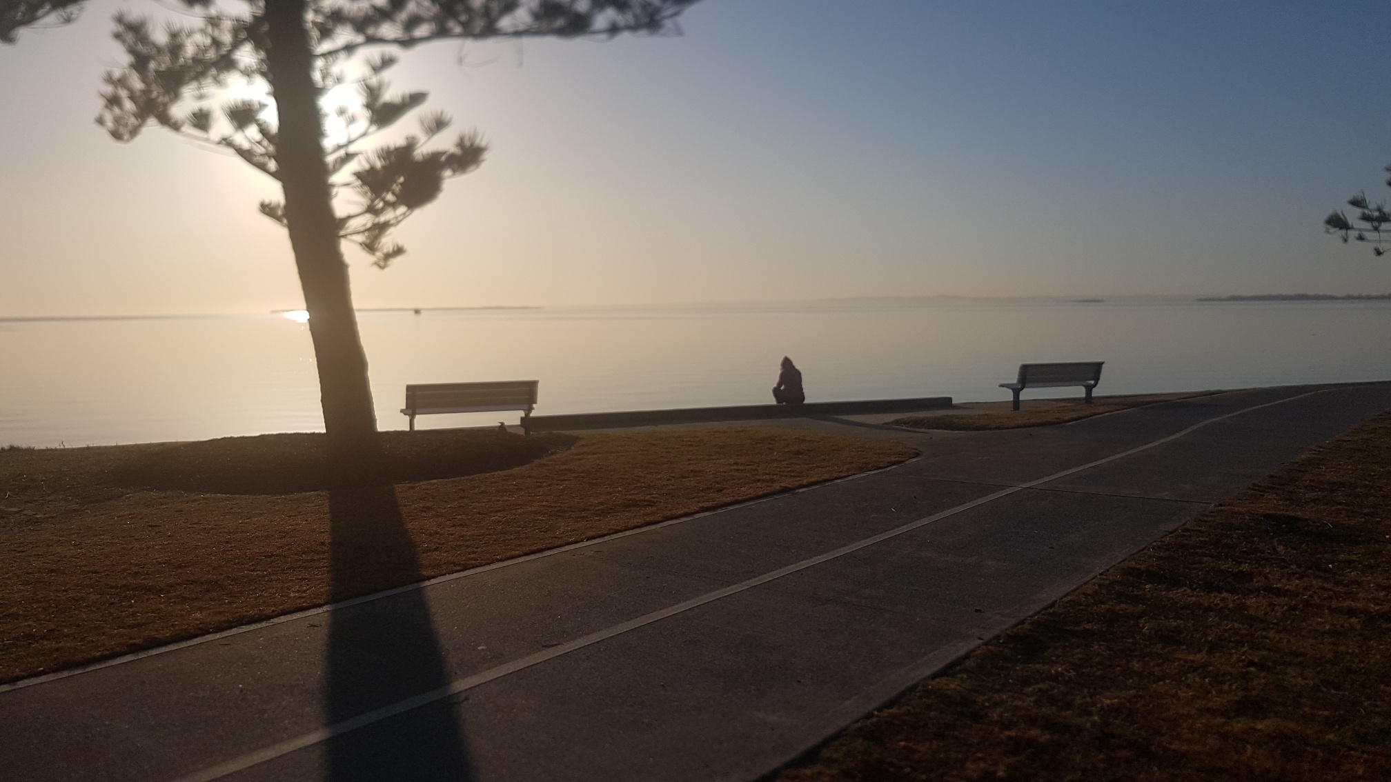 Mindfulness as Self-Observation – Grow Mindfulness