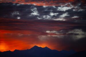 Grow Mindfulness – By Dr. Ron Passfield