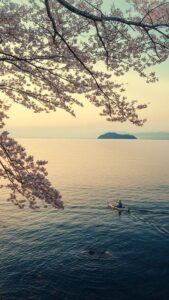 Finding Stability and Predictability in Times of Uncertainty – Grow ...